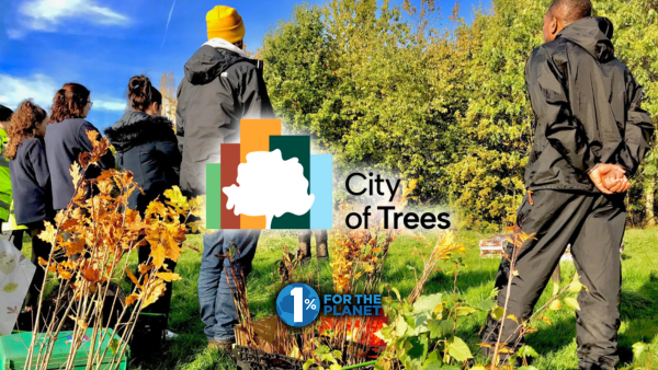 Introducing City of Trees: one of our 1% for the Planet partners | The ...